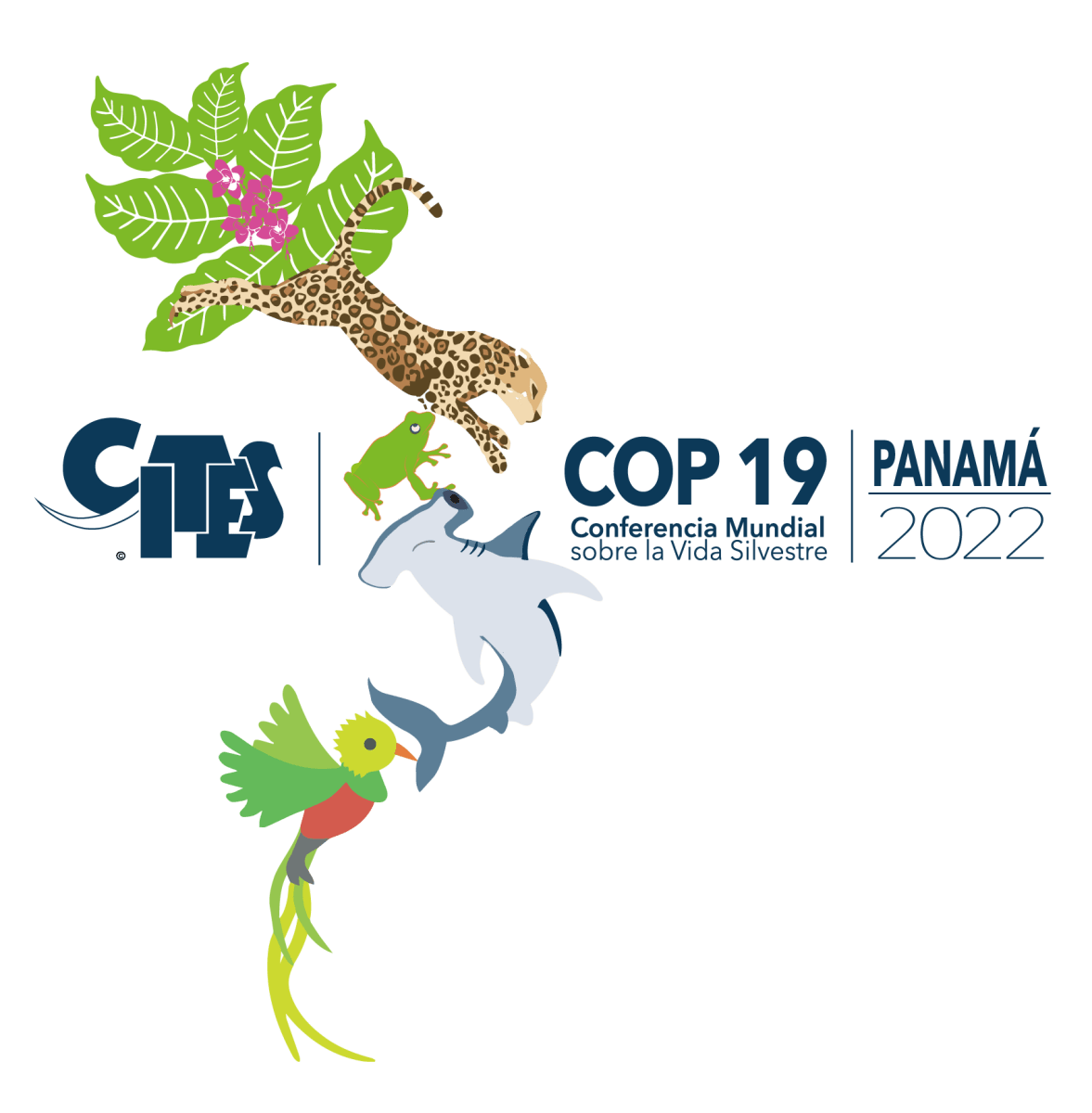 Plenary session marks the beginning of the end of CITES CoP19